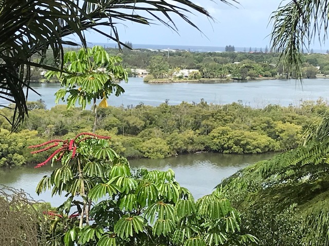 Real Estate & Properties for sale in Banora Point, 2486, NSW | Aussie Homes